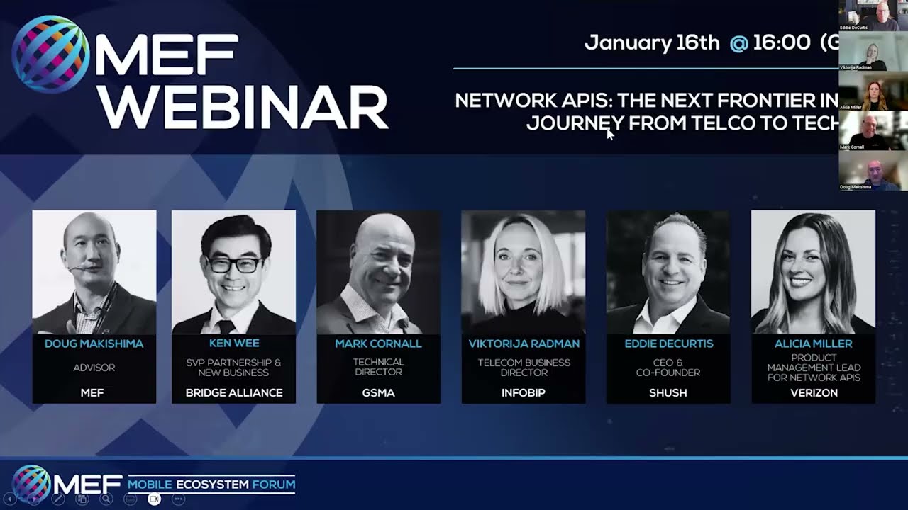 Network APIs: The Next Frontier in the Journey from Telco to Techco ...